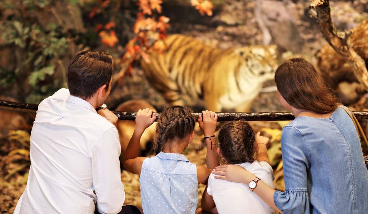 Autumn in Denmark: 13 Destinations to Visit, Weather in Fall & Best ...