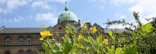 Universities in Denmark - Visit Denmark.net